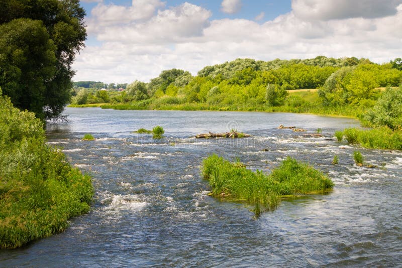 Winding River on a Riffle in a Summer Forest in Cloudy Weather with ...