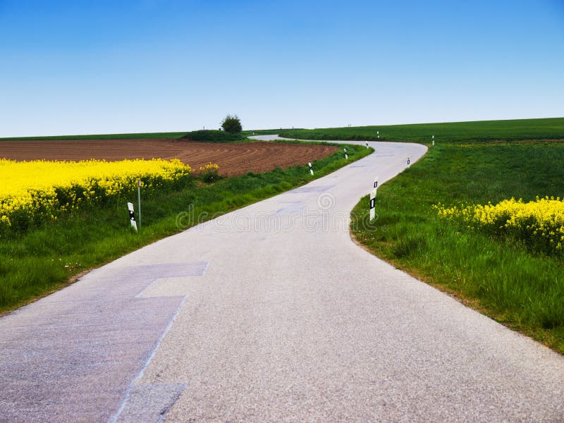 Winding road stock photo. Image of horizon, asphalt, fields - 20611210