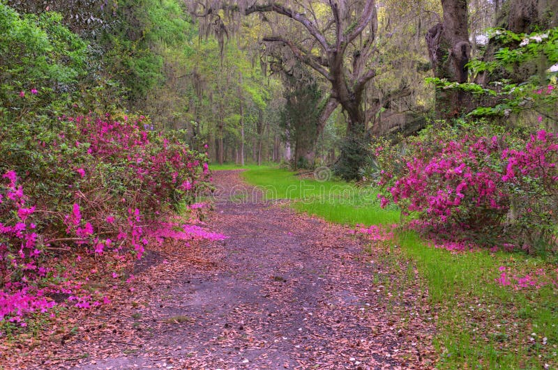 Winding road stock image. Image of landscapes, nature - 4942845