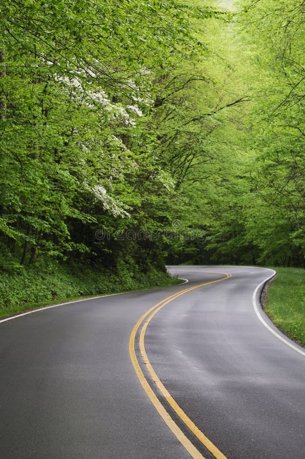 Winding road stock photo. Image of nature, environment - 9912298