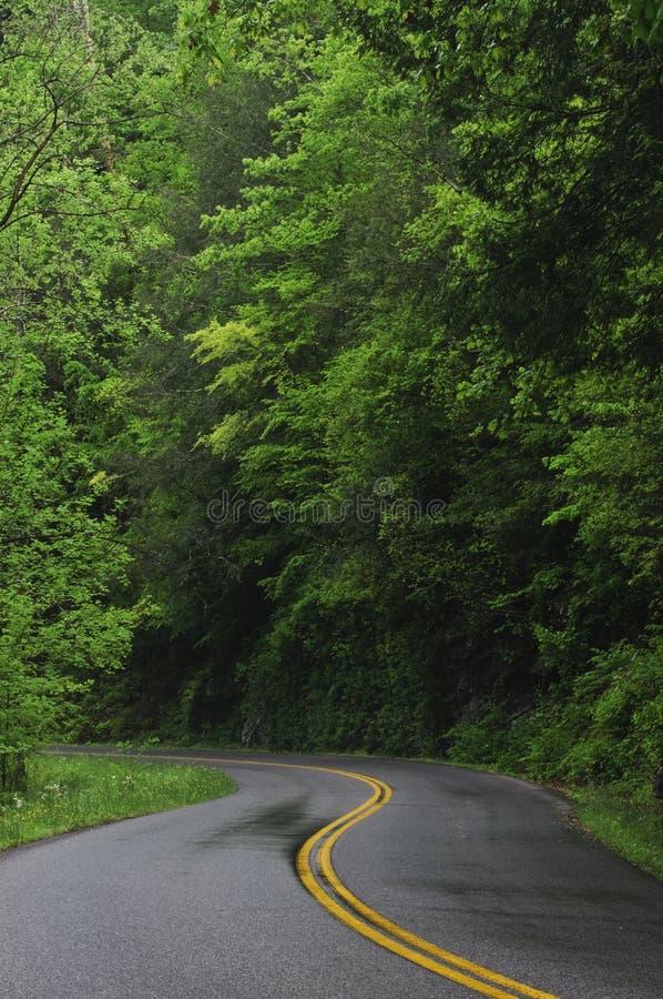 Winding road stock photo. Image of marking, forward, line - 9899032