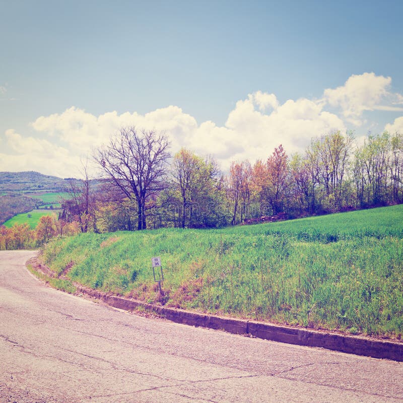 Winding Road stock photo. Image of cultivated, forest - 72825594