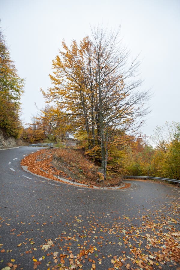 Winding road stock image. Image of landscape, bend, country - 33099927