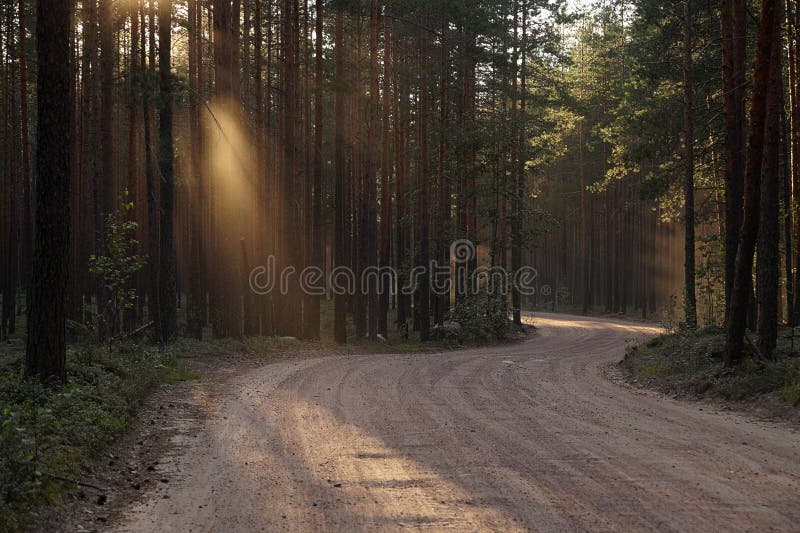 A Winding Road with Bright Rays of the Setting Sun Stock Photo - Image ...