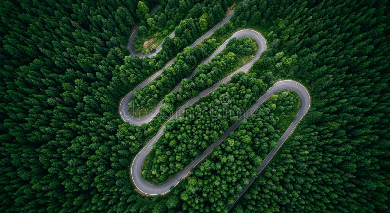Winding Road Cuts through a Dense, Verdant Forest, Forming Sharp Curves ...