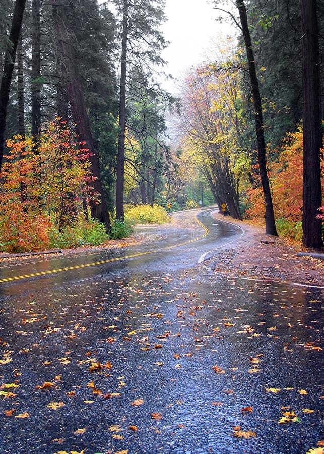 Winding Road and Fall Color Stock Photo - Image of color, trees: 7012384