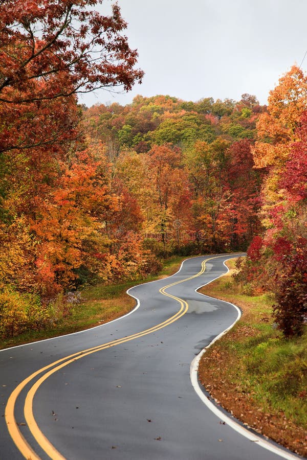 Winding Road in the Fall stock photo. Image of roadway - 56904526