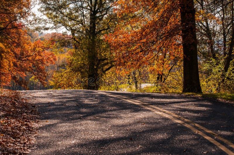 Winding Road in the Forest during Fall Stock Photo - Image of orange ...