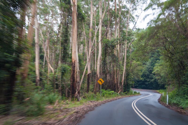 Winding Road in the Forest, Motion Blur Stock Photo - Image of tree ...