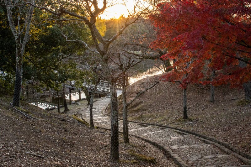 Winding Road Japan Sunset Lake Stock Photos - Free & Royalty-Free Stock ...