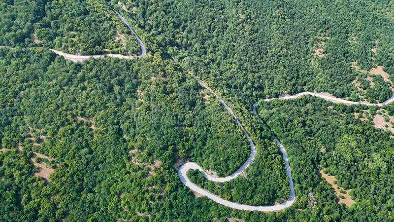 Winding Road Making Its Way through the Green Forest Stock Photo ...