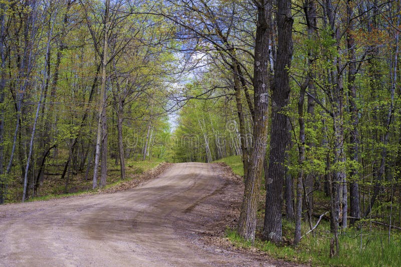 Winding Road, Maple Forest, Spring Stock Image - Image of state ...