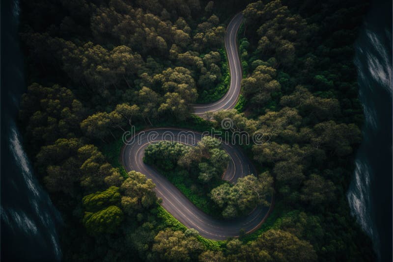 A Winding Road in the Middle of a Forest with Trees on Both Sides of it ...