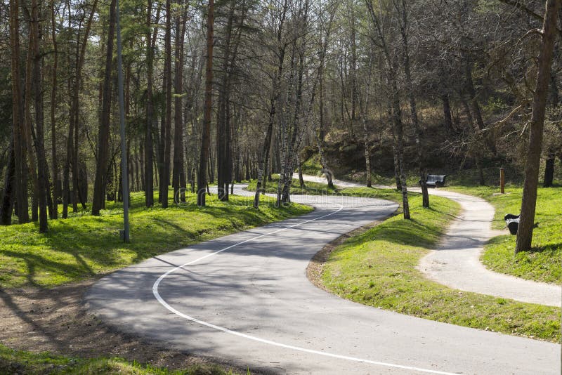 Winding Road in a Park among Trees, Spring Stock Photo - Image of ...
