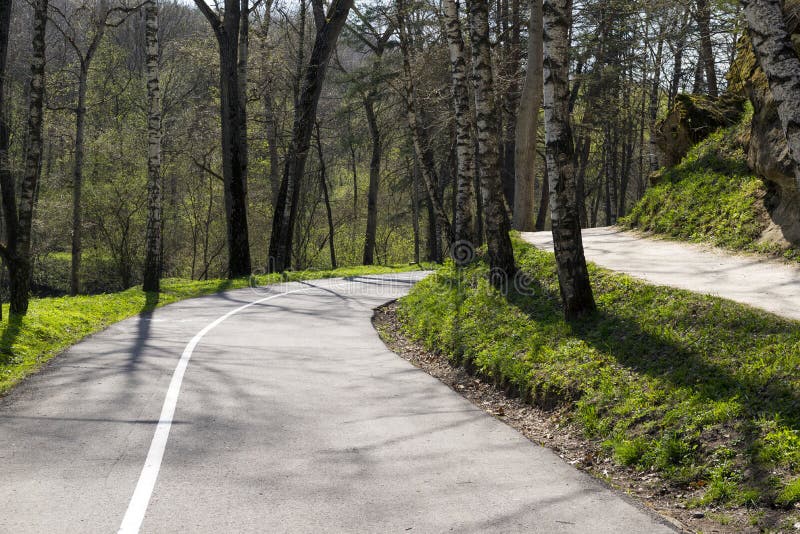 Winding Road and a Path among the Trees, a Park, a Forest Stock Photo ...