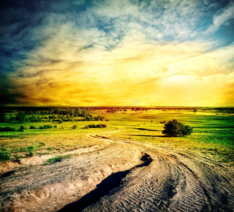 Sandy Road in a Field with Green Grass Stock Photo - Image of sunlight ...