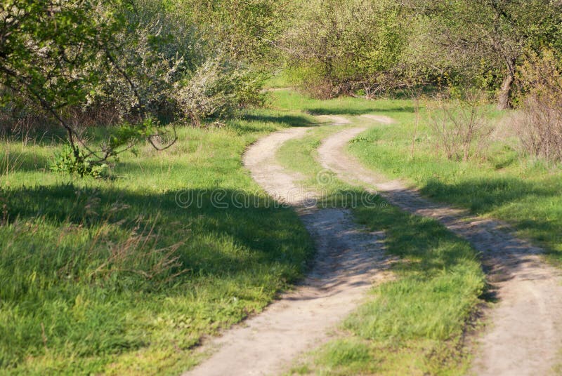 Winding Road through the Spring Orchard Stock Photo - Image of ...