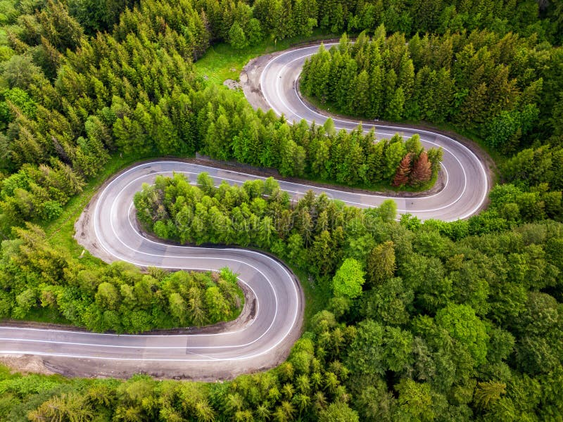 Asphalt Road Trough Wood with Mist in Background Stock Image - Image of ...