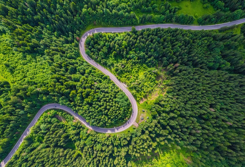 Winding Road Trough Dense Pine Forest. Aerial Drone View Stock Image ...