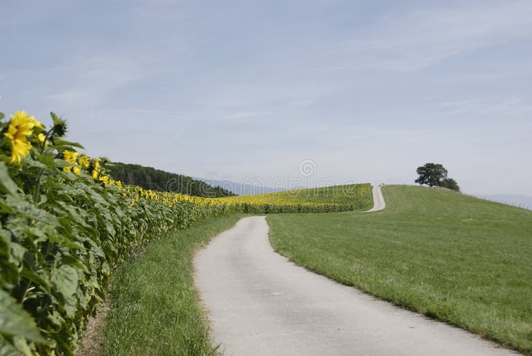 1,960 Wind Up Road Stock Photos - Free & Royalty-Free Stock Photos from ...