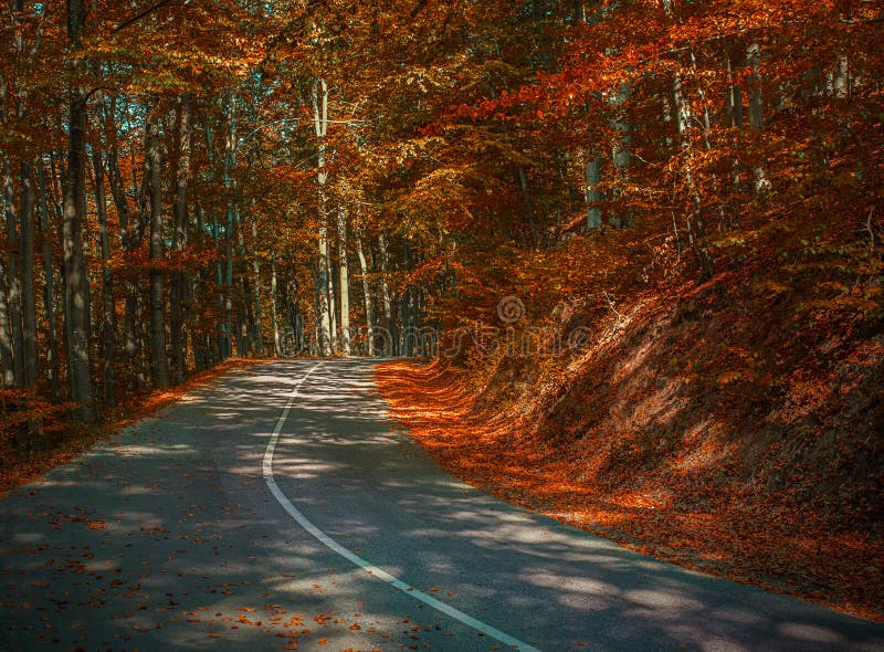 Winding road stock image. Image of morning, fall, leafs - 174728047