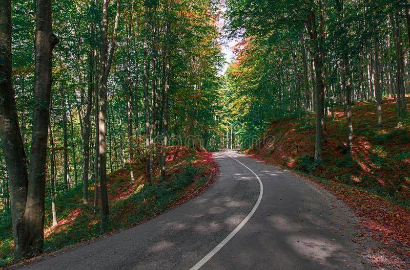 Winding road stock image. Image of street, nature, morning - 174728119