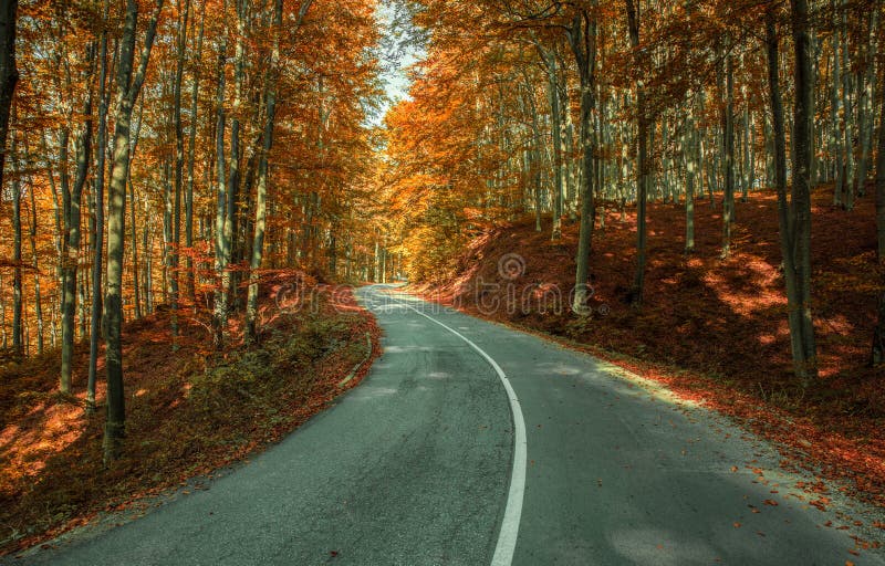 Winding road stock image. Image of scenery, road, morning - 174728263