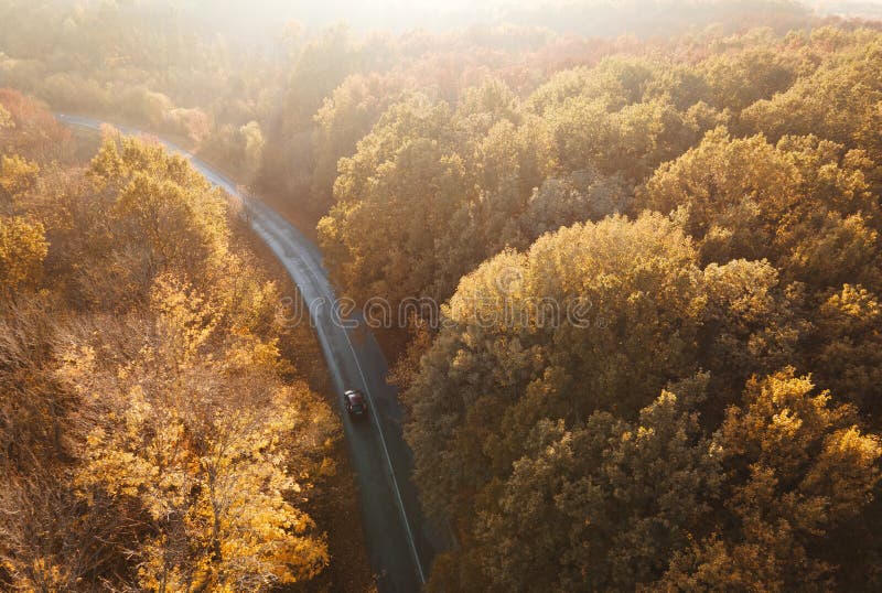 Winding Rual Road Inside Autumn Forest with Black Car Stock Photo ...