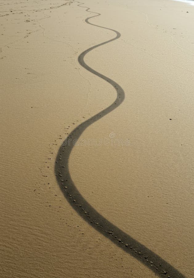 Winding Sand Track on a Beach Stock Illustration - Illustration of dune ...