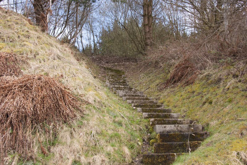 Winding Steps in the Country Stock Image - Image of trees, moss: 25535317