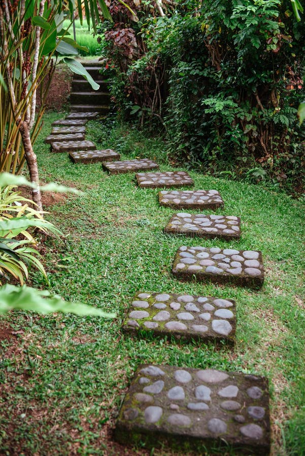 Winding Stone Path in the Green Garden. Stock Photo - Image of plants ...