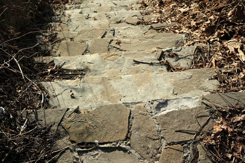 Winding Stone Steps Leading through a Tranquil Forest Path Stock Photo ...