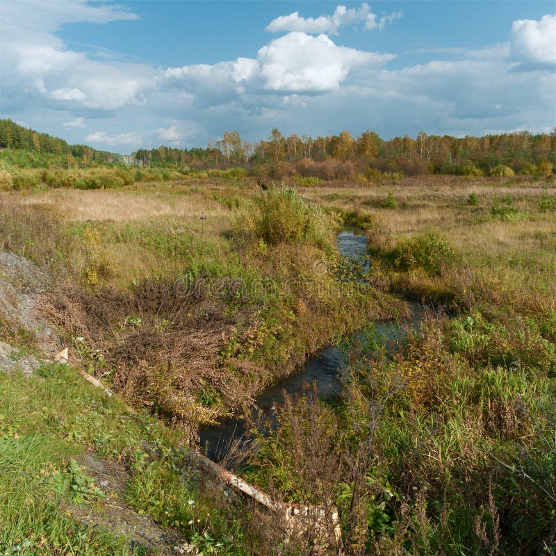 A Winding Stream in the Forest Stock Photo - Image of creek, small ...