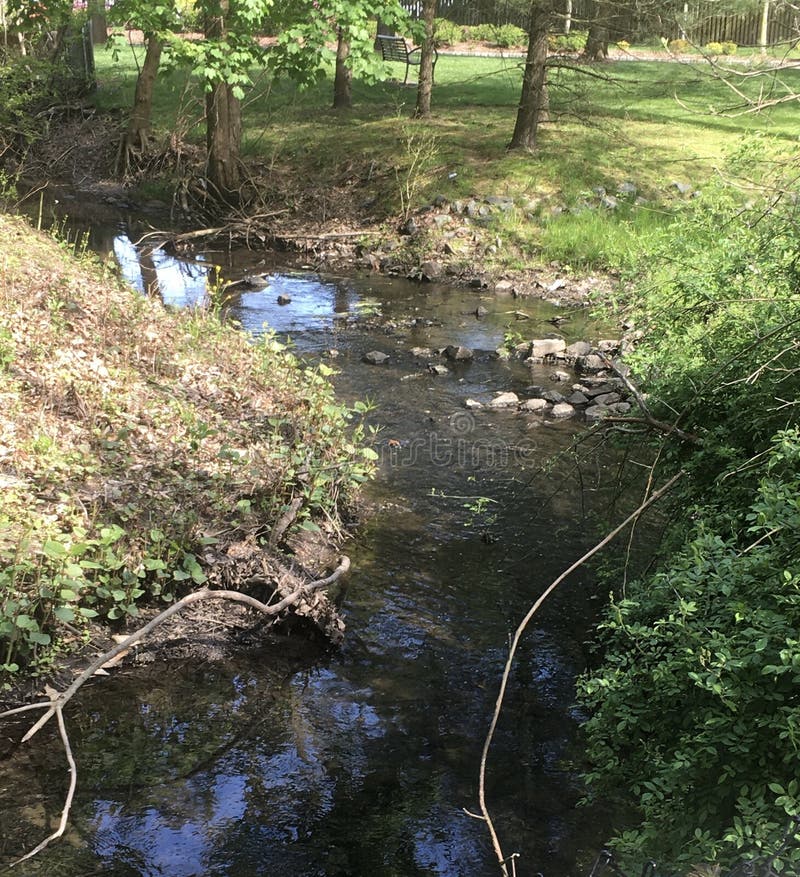 A Winding Stream in the Forest Stock Photo - Image of creek, small ...
