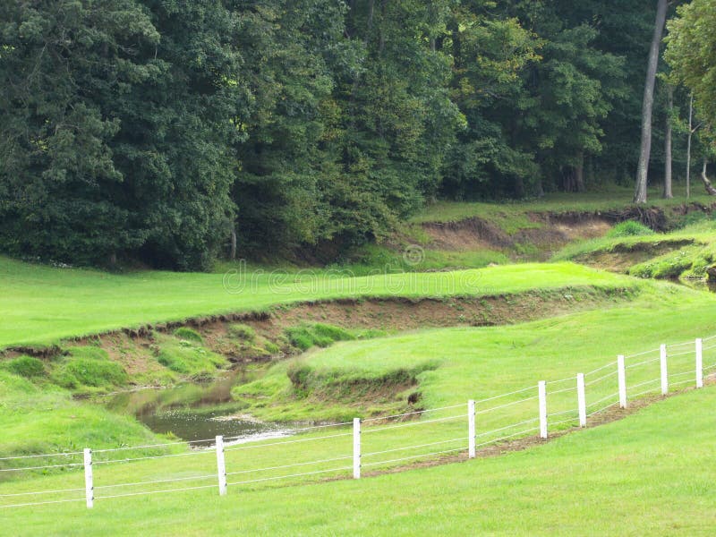 Winding stream stock photo. Image of stream, grassland - 256062736