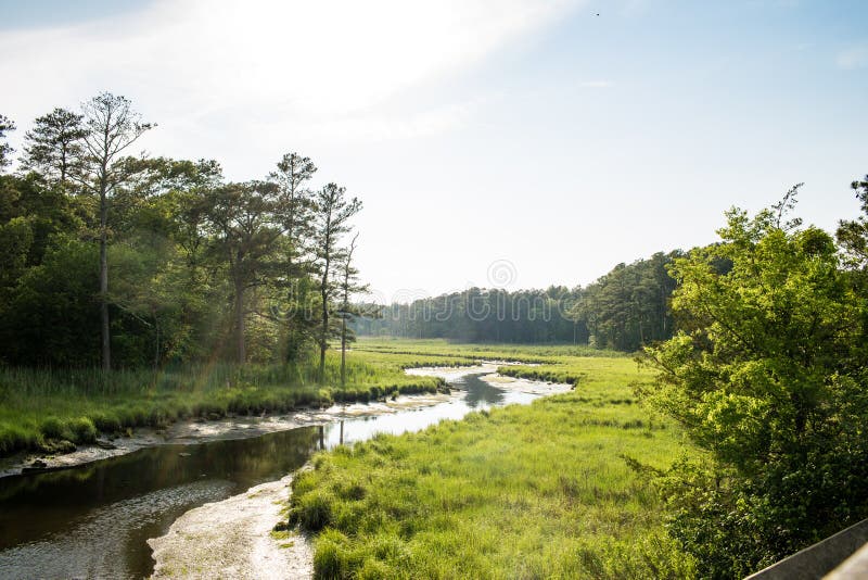 Stream through marsh field stock image. Image of stream - 186436769