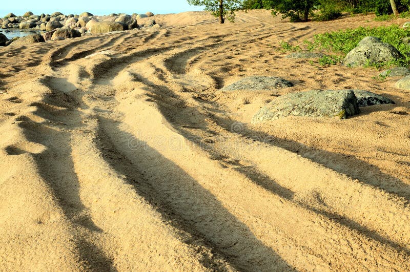 Winding track on the beach stock image. Image of sunrise - 41381663