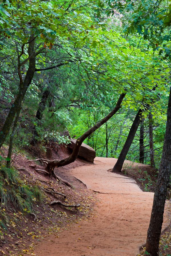 Winding Trail stock image. Image of winding, zions, beautiful - 27899099