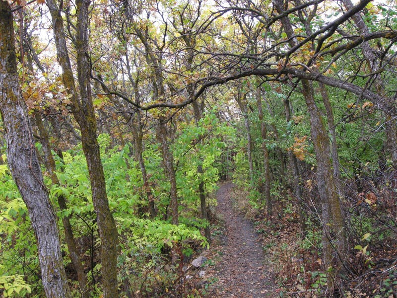Winding Trail in the Mountains Stock Photo - Image of winding, fall ...