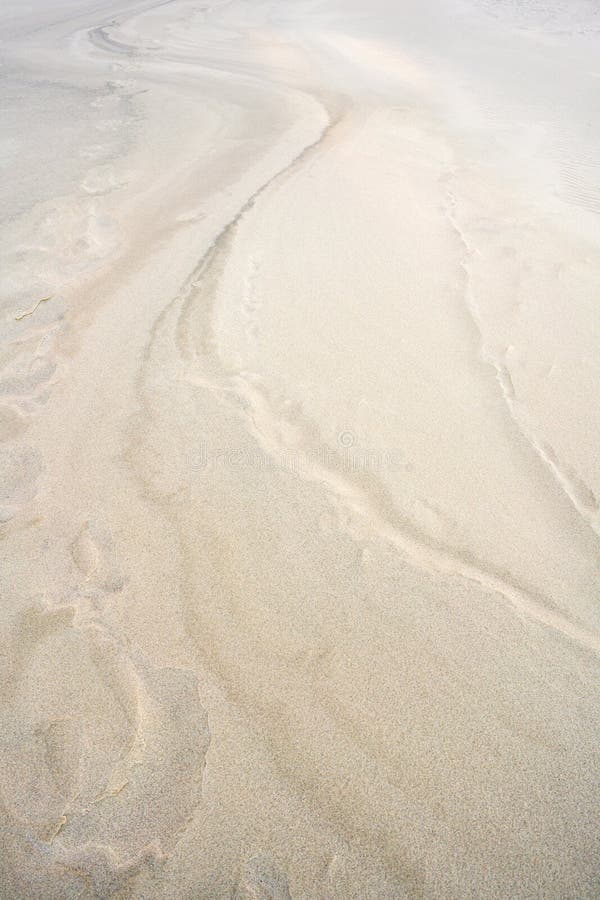 Winding Trail stock image. Image of nature, trail, walk - 137825