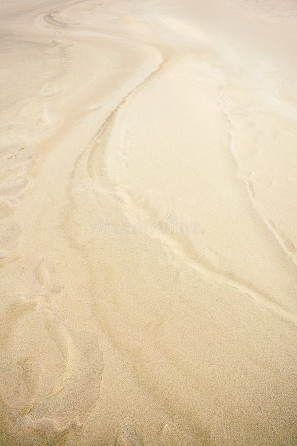 A Winding Trail in the Sand, Formed by Sea Waves on the Beach. Stock ...
