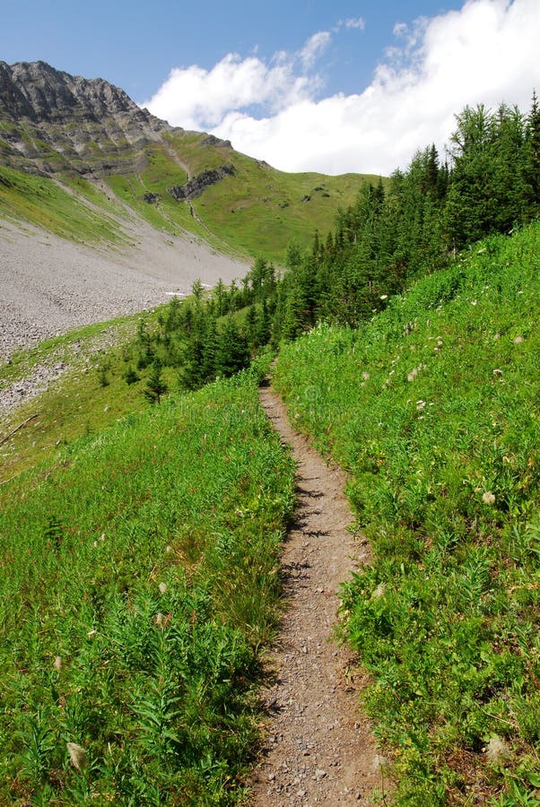 Winding Trail To Mountain Top Stock Photo - Image of decline, meadows ...