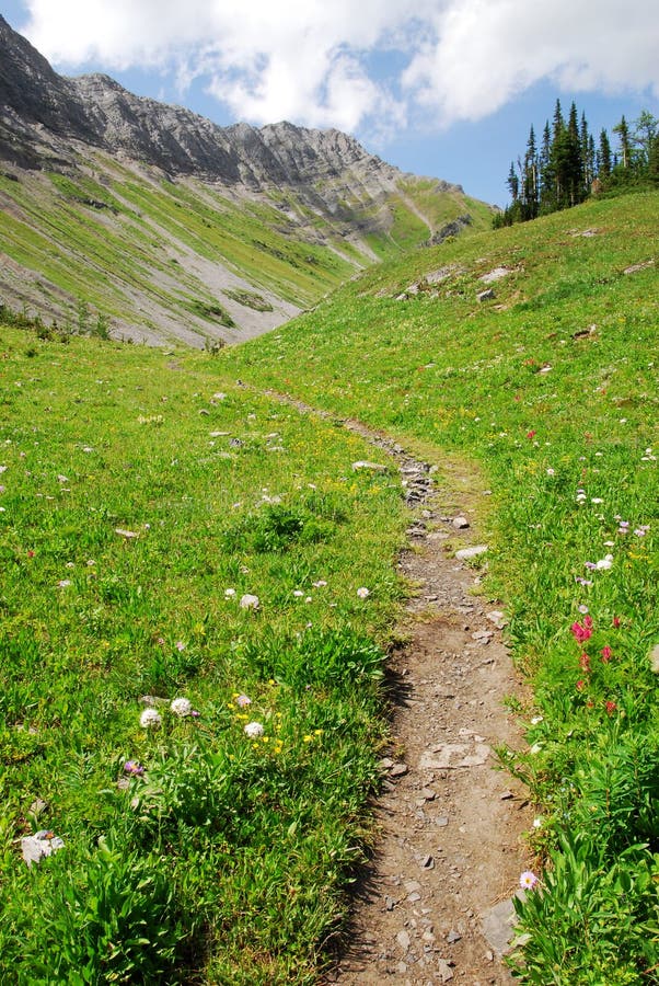 Winding Trail To Mountain Top Stock Photo - Image of decline, meadows ...