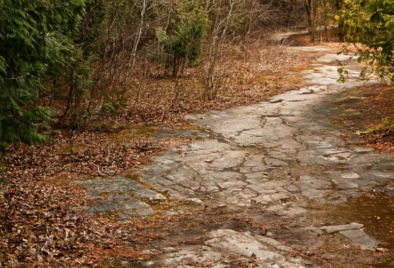 Winding Tree Lined Limestone Quarry Path Stock Photo - Image of green ...