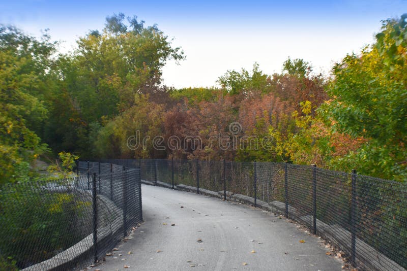 Winding path into forest stock image. Image of bridge - 103253917