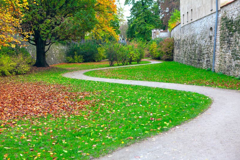 Winding Walking Pathway through Tropical Green Shrub Filled Garden ...