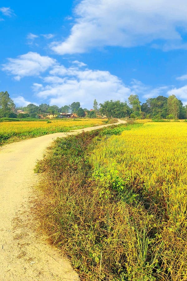 The Winding Way. stock photo. Image of field, white - 271336494