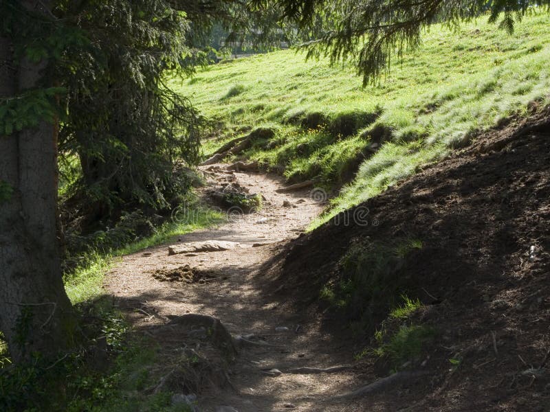 Winding way to the meadow stock image. Image of trail - 47028615