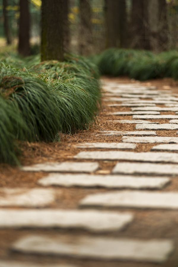 White bricks stock image. Image of garden, soil, wall - 240901743