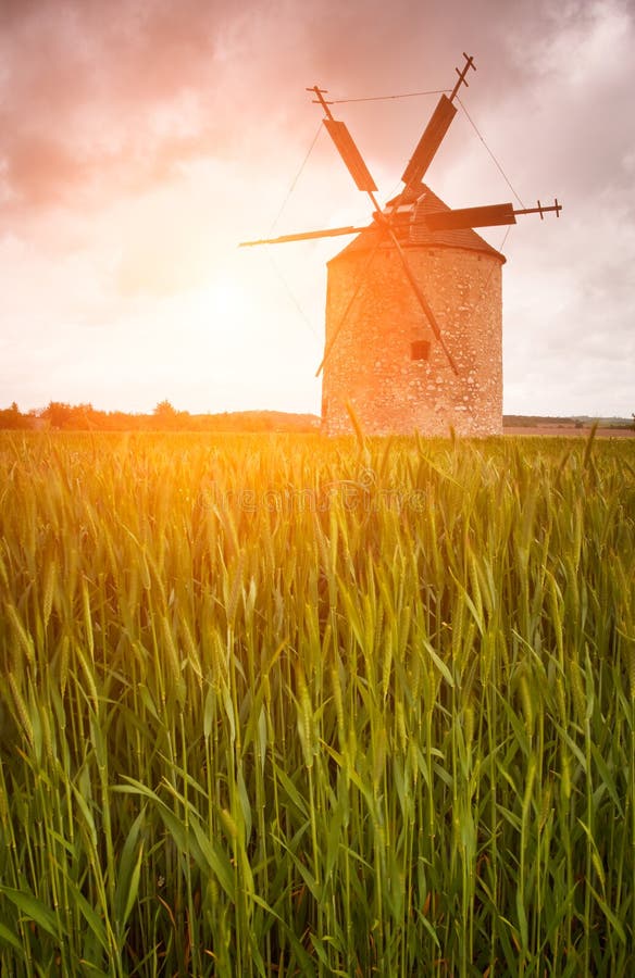 Windmill in a Wheatfield in English Countryside Stock Photo - Image of ...